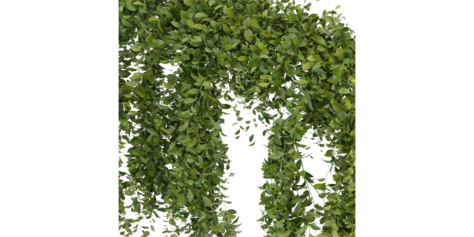 3D Collection Plant Vol 293 - Blender Model Model - TurboSquid 2091976