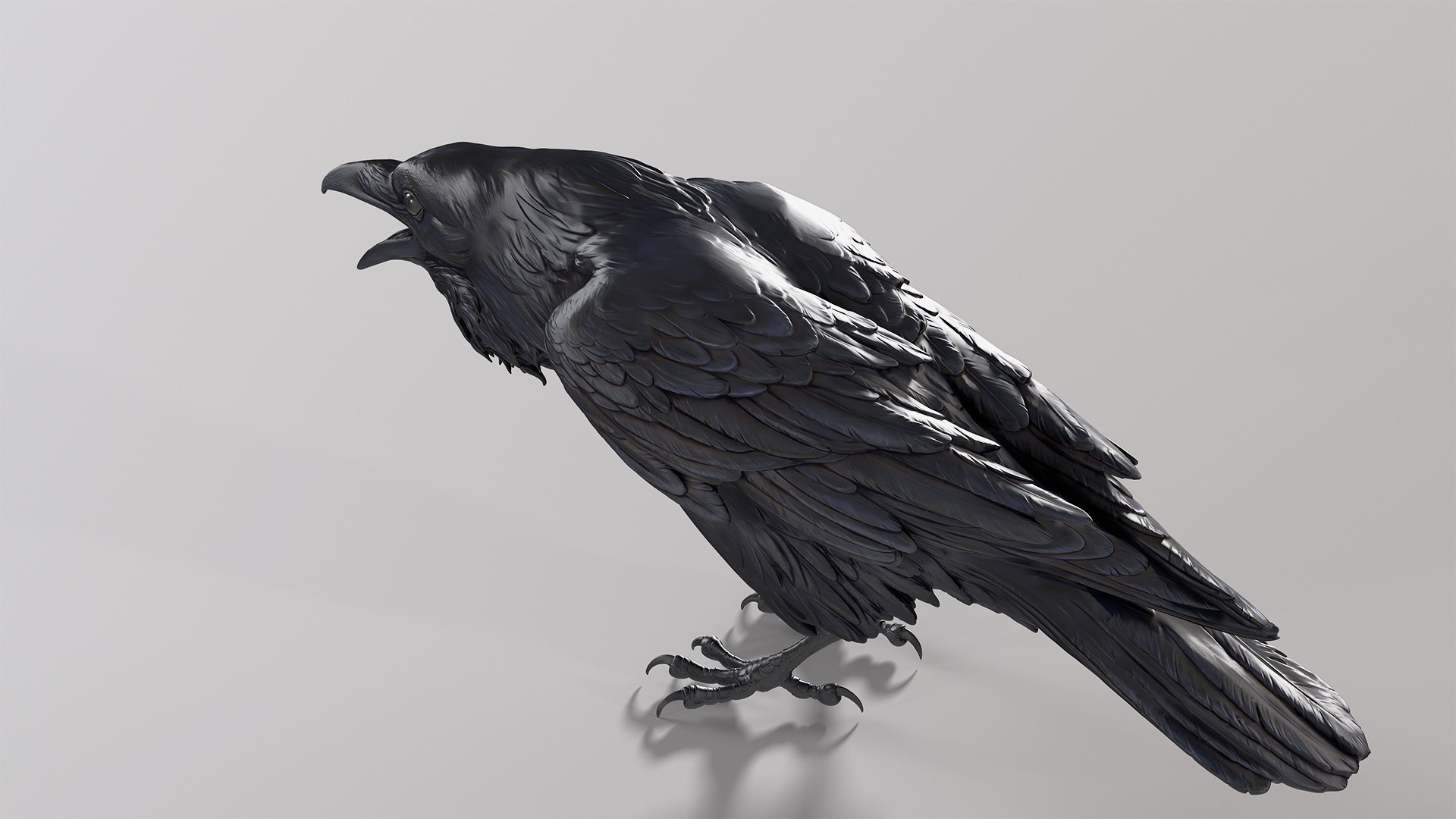 Crow - 3D Sculpting - High Poly Model - TurboSquid 2325223