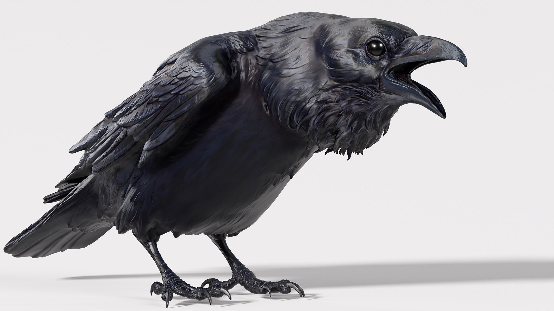 Crow - 3D Sculpting - High Poly Model - TurboSquid 2325223
