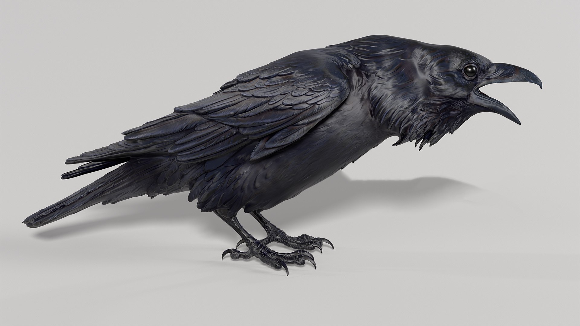 Crow - 3D Sculpting - High Poly Model - TurboSquid 2325223