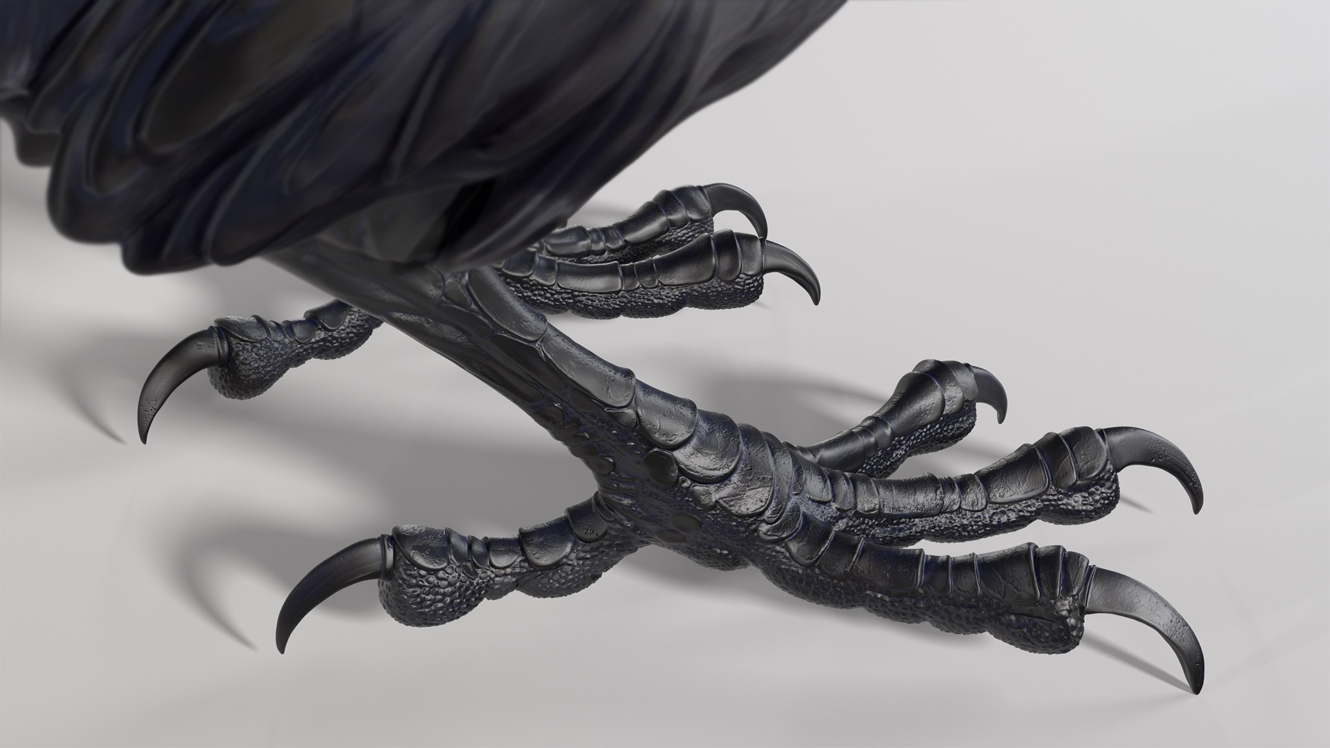 Crow - 3D Sculpting - High Poly Model - TurboSquid 2325223