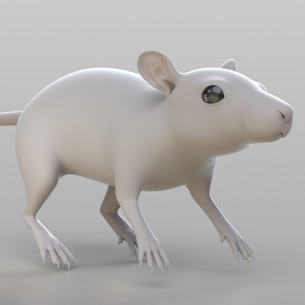 modelo 3d Rata realista - TurboSquid 1308420