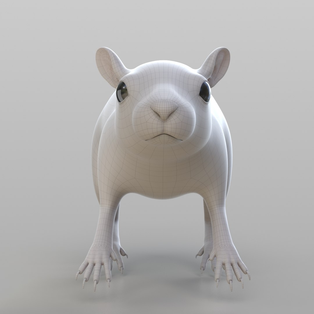 Realistic Rat Model - TurboSquid 1308420