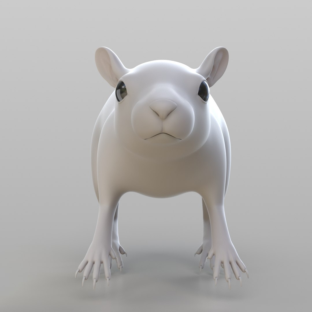 Realistic Rat Model - TurboSquid 1308420