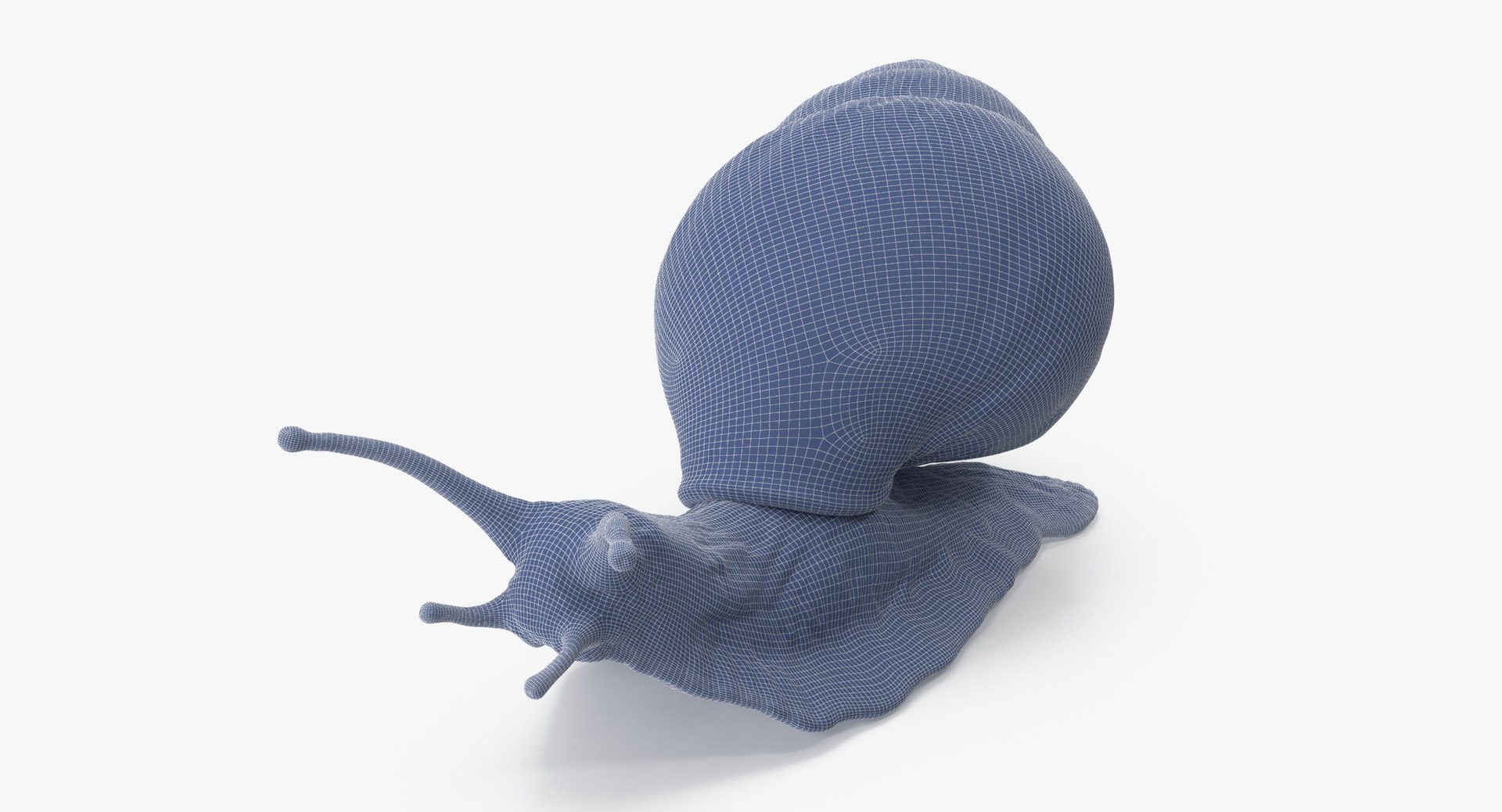 3d snail 03 model