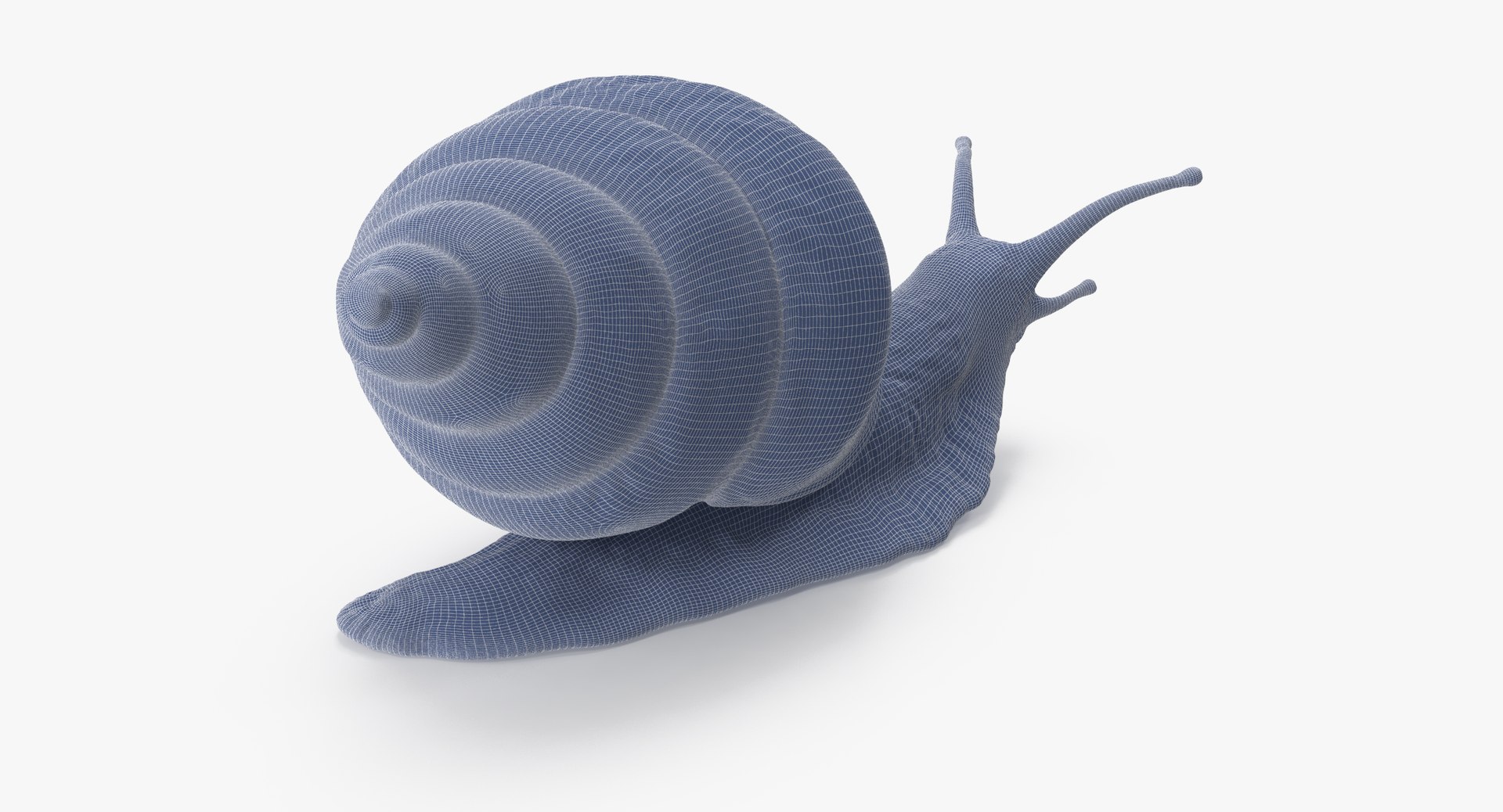 3d snail 03 model