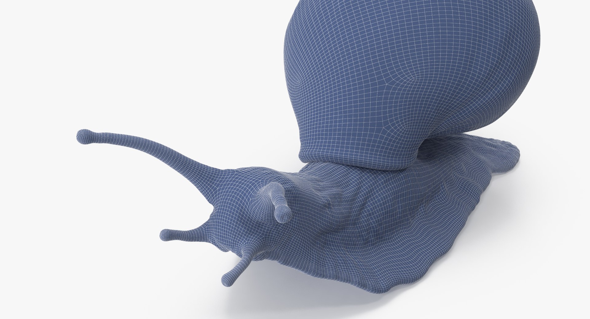 3d snail 03 model