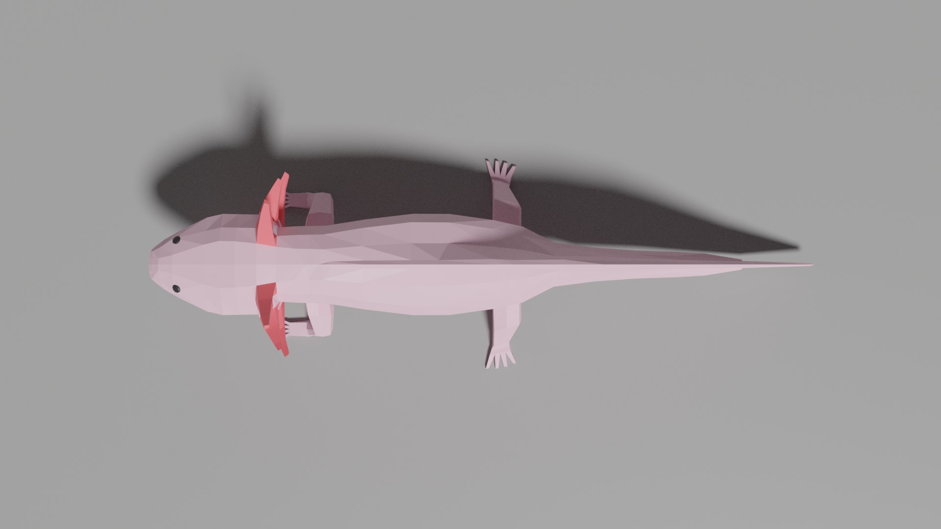 Low-poly Axolotl 3D Model - TurboSquid 1806891