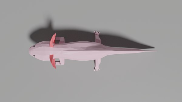 Low-poly Axolotl 3D model - TurboSquid 1806891
