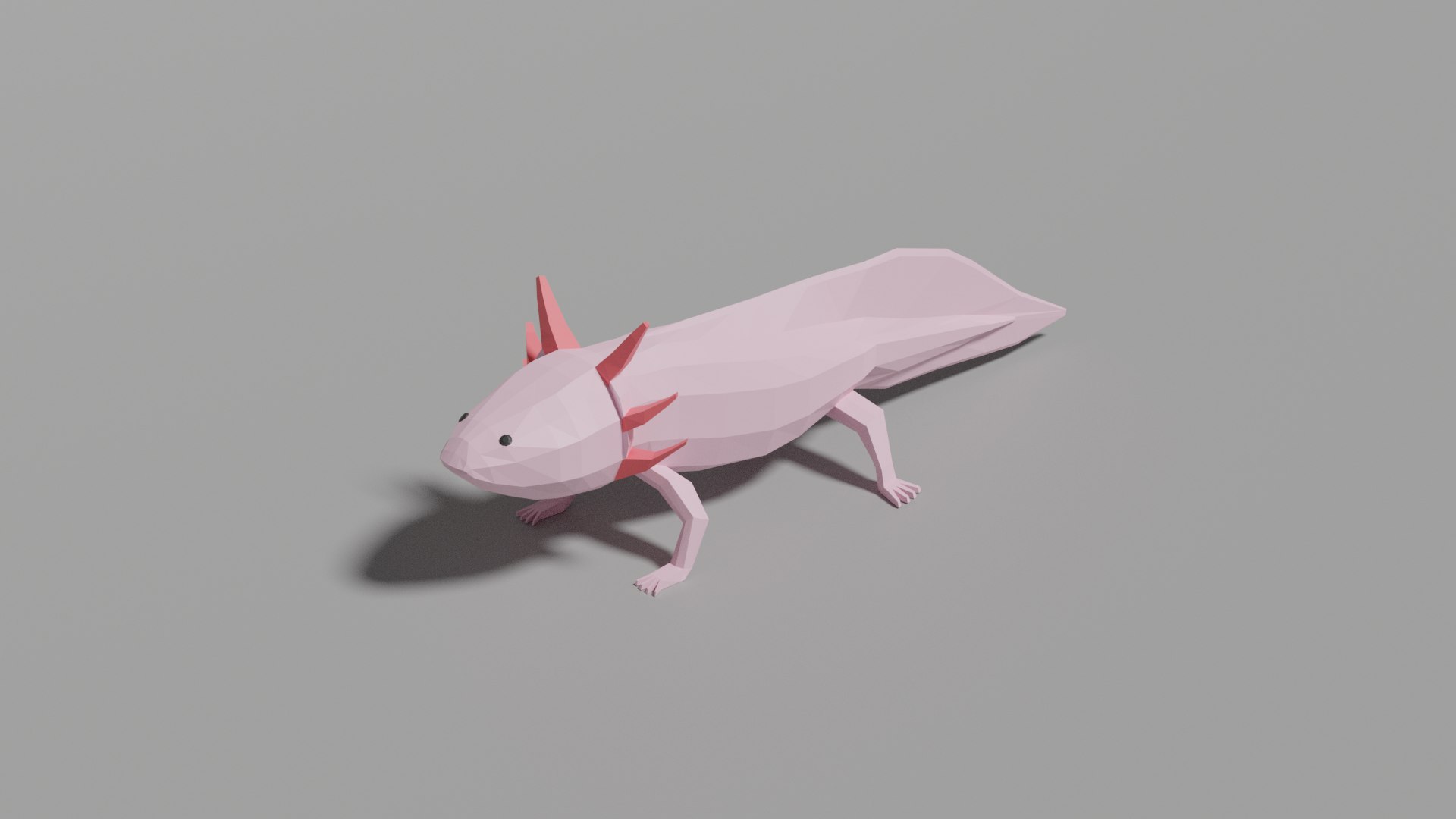 로우 폴리 Axolotl 3D 모델 - TurboSquid 1806891