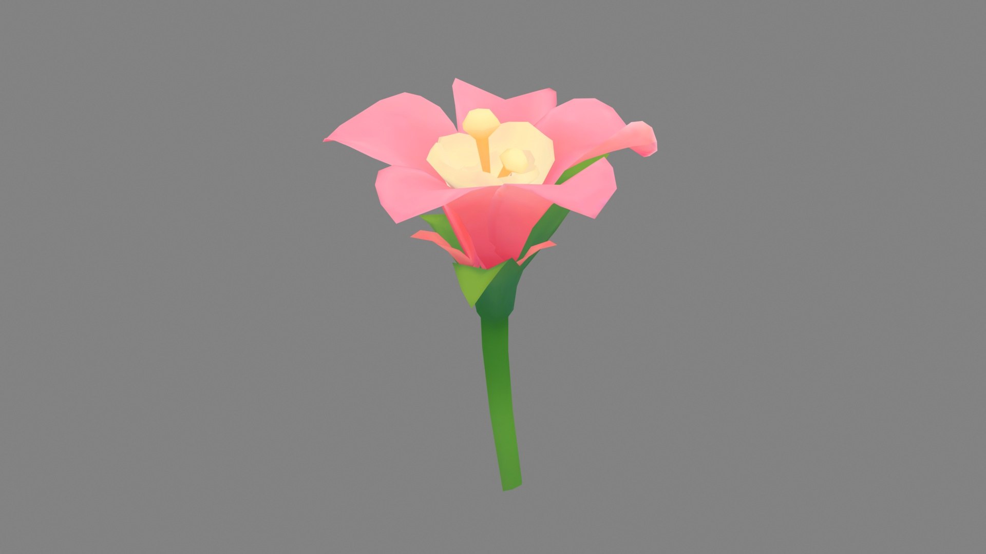 A Pink Flower 3D Model - TurboSquid 2259051