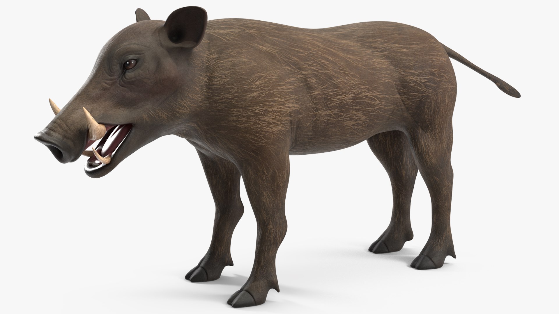 Warthog Basic Pose 3D Model - TurboSquid 2220169