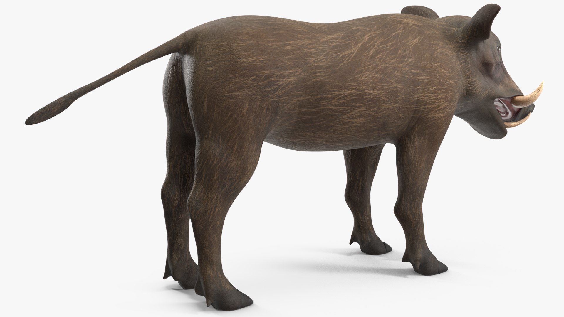 Warthog Basic Pose 3D Model - TurboSquid 2220169