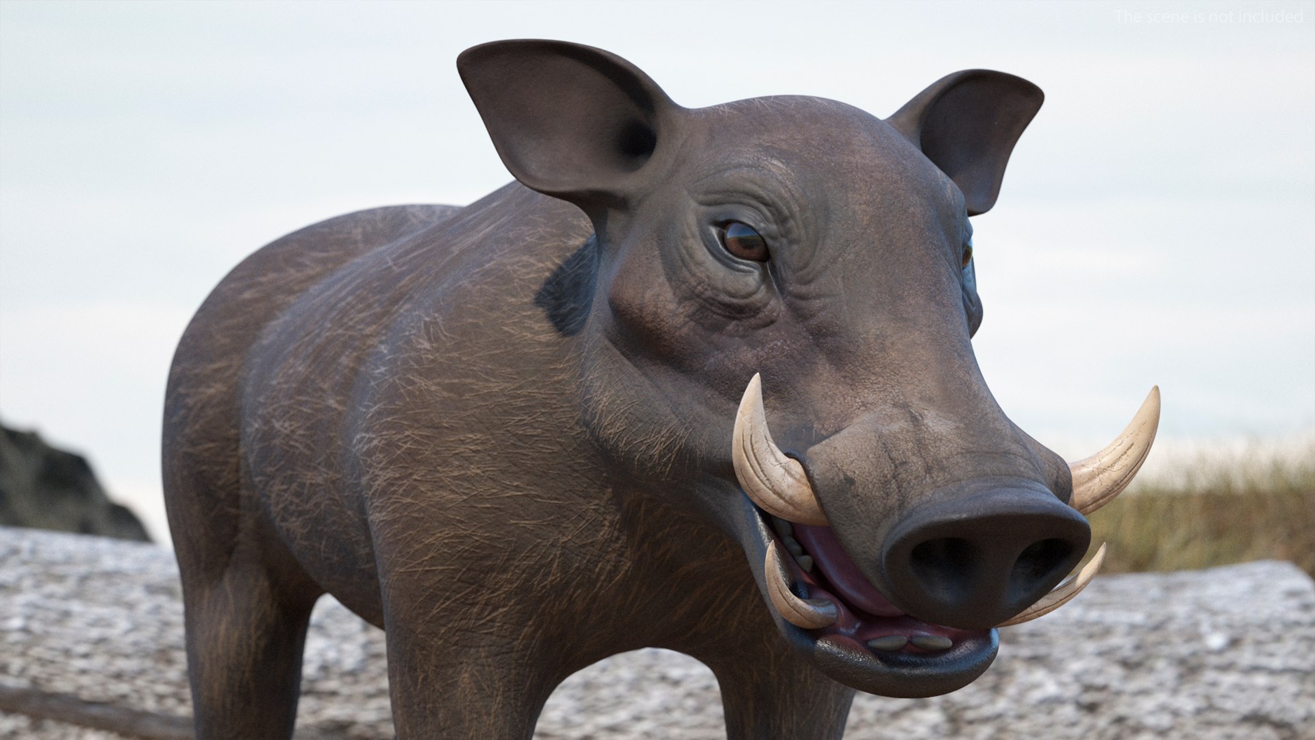 Warthog Basic Pose 3D Model - TurboSquid 2220169