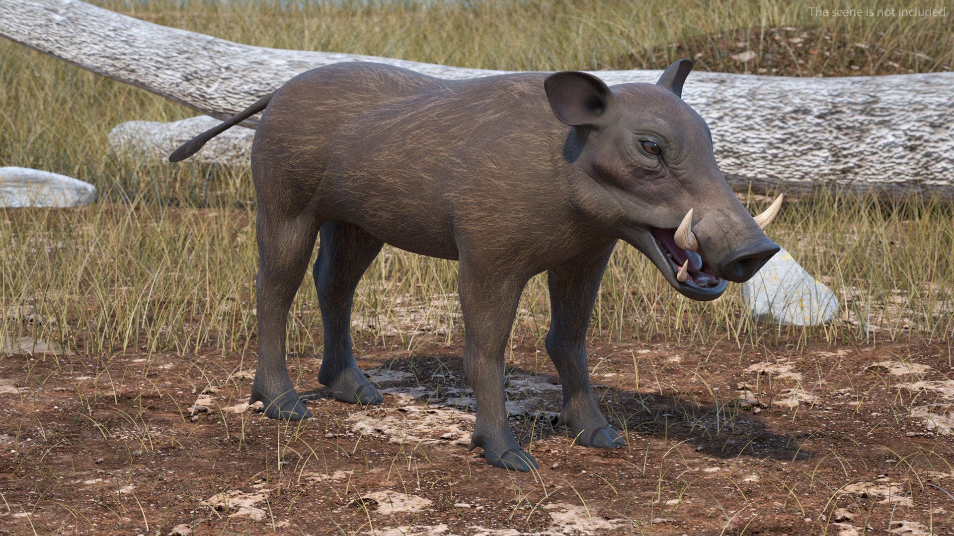 Warthog Basic Pose 3D Model - TurboSquid 2220169