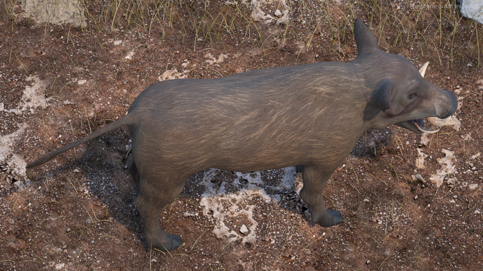 Warthog Basic Pose 3D Model - TurboSquid 2220169