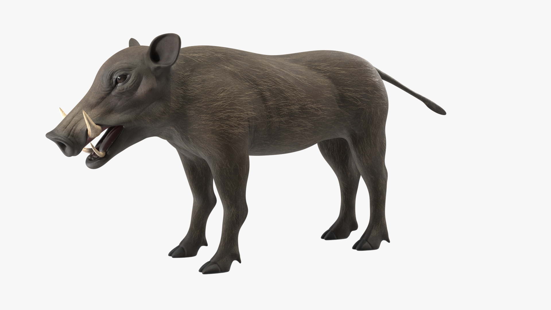 Warthog Basic Pose 3D Model - TurboSquid 2220169