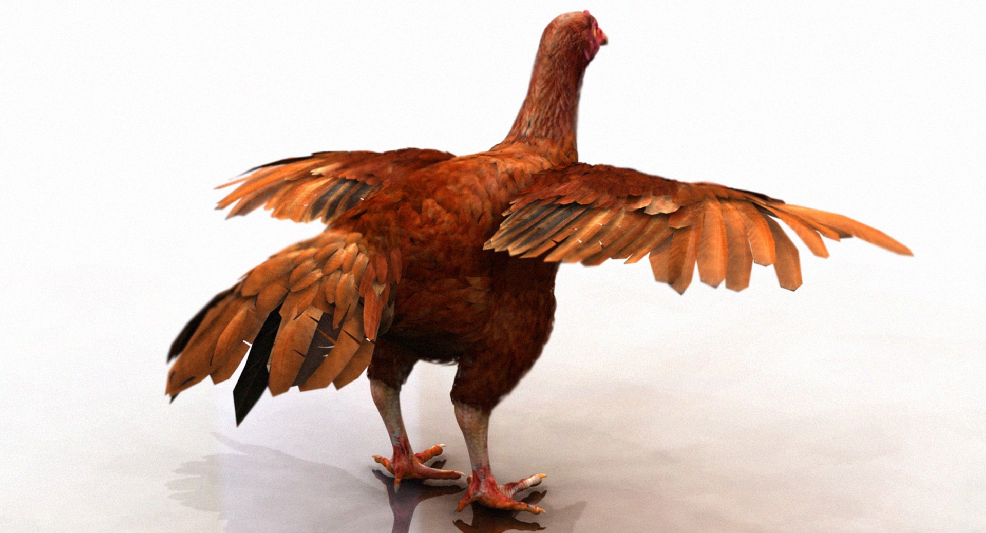 3D hen hi details - TurboSquid 1479894