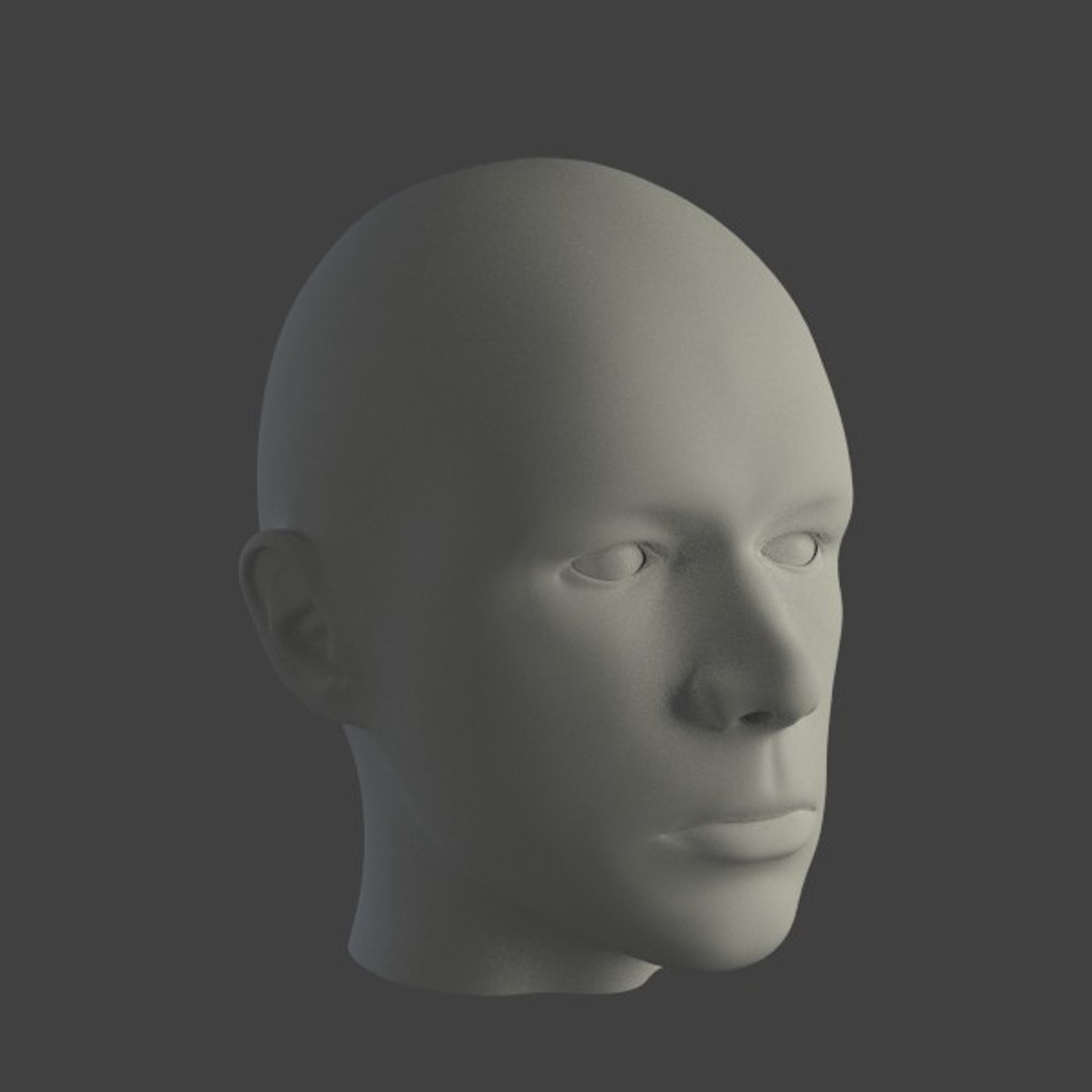 3d Human Male Head