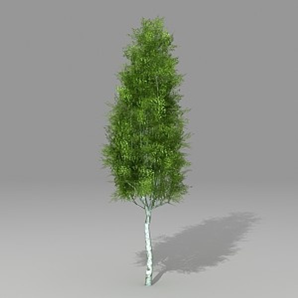 tree 3d model