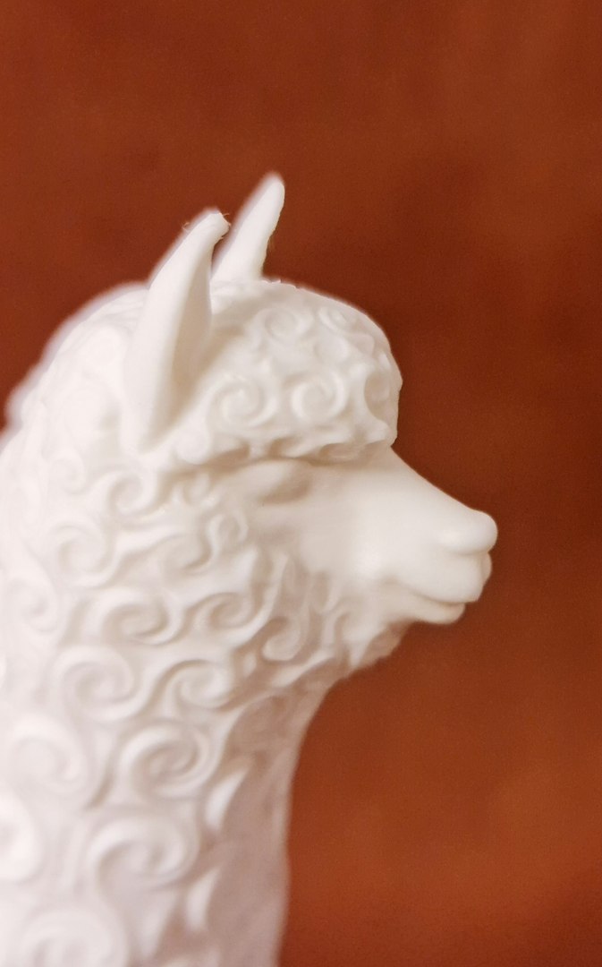 3D Alpaca Model - TurboSquid 2392619