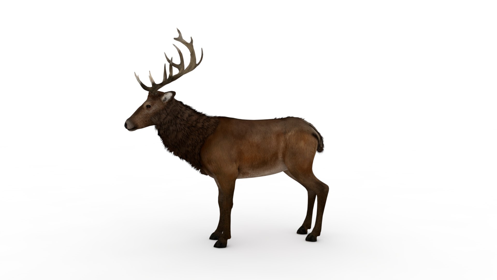 3D Deer - TurboSquid 2237889