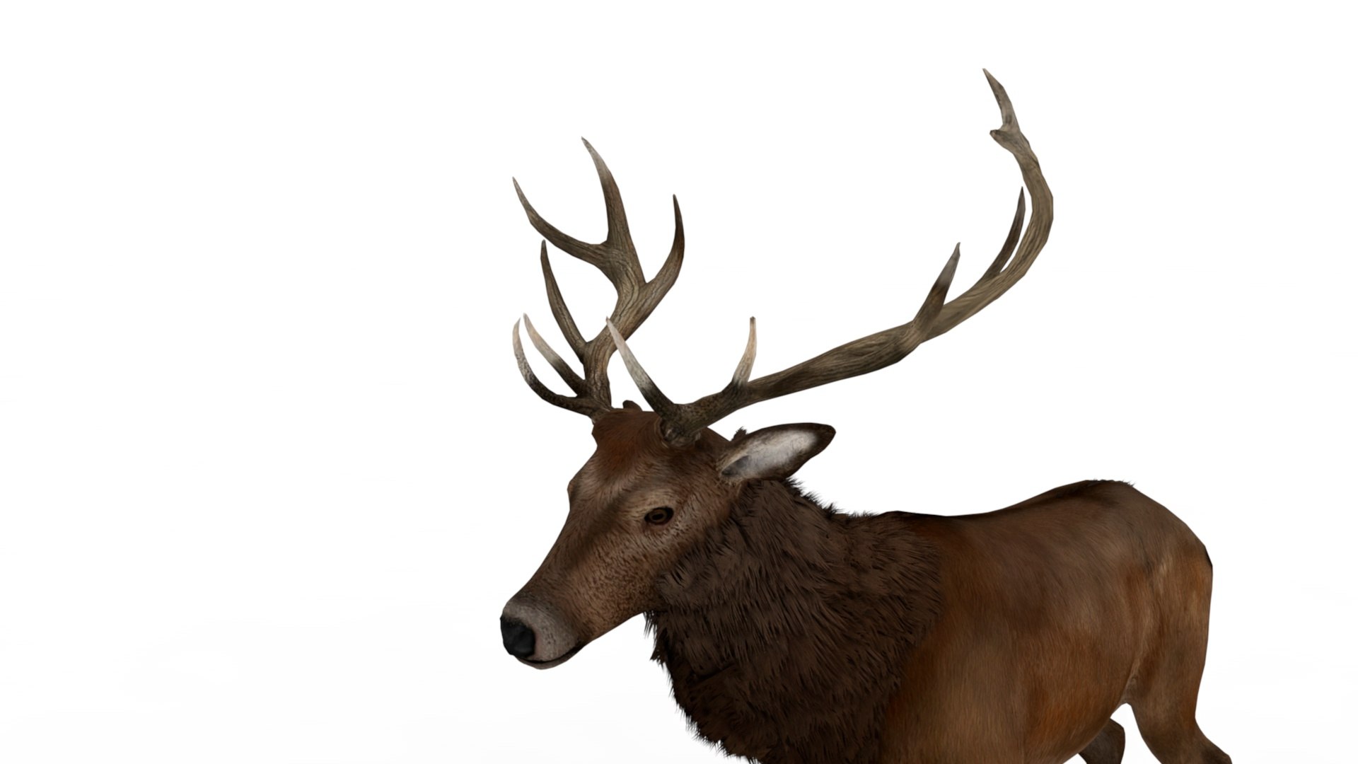 3D Deer - TurboSquid 2237889