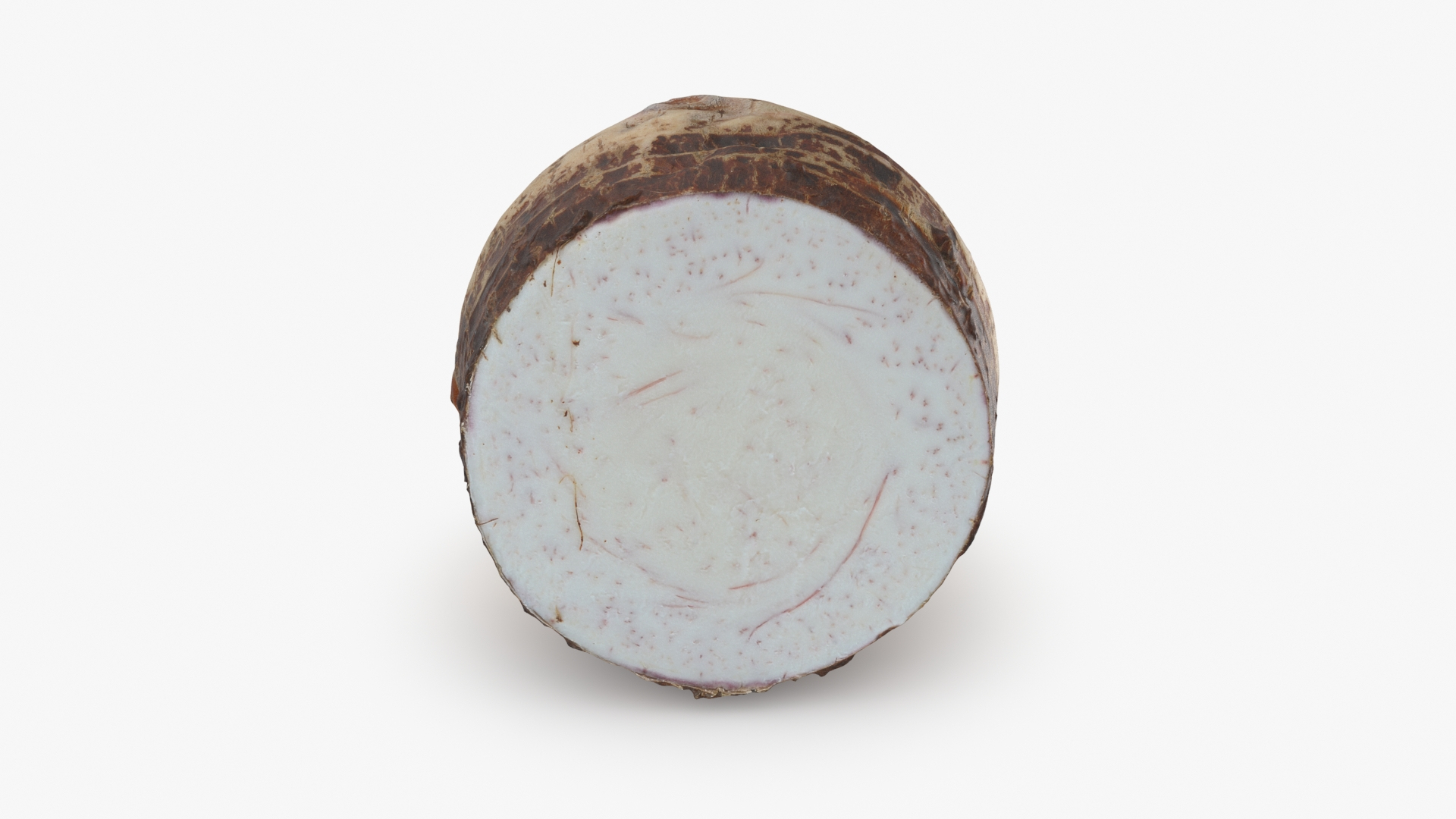 3D Taro Collection - TurboSquid 2209199