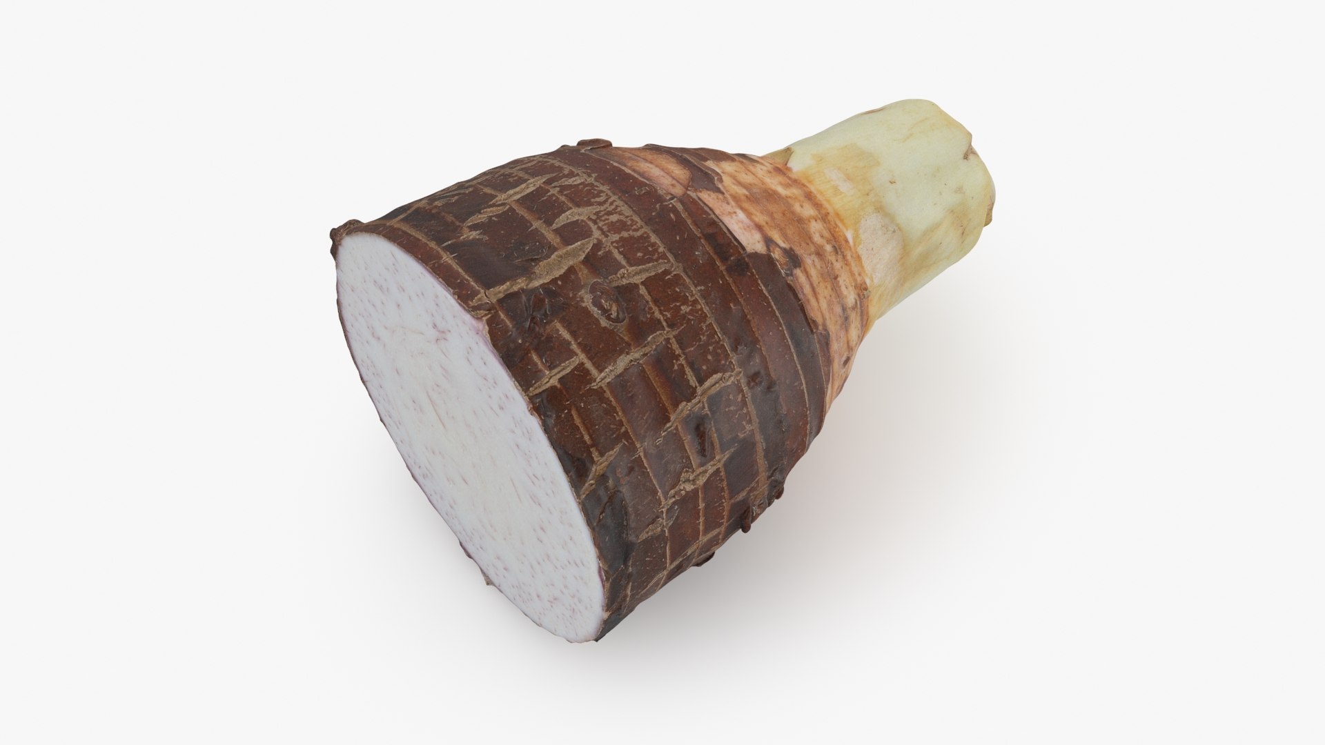 3D Taro Collection - TurboSquid 2209199