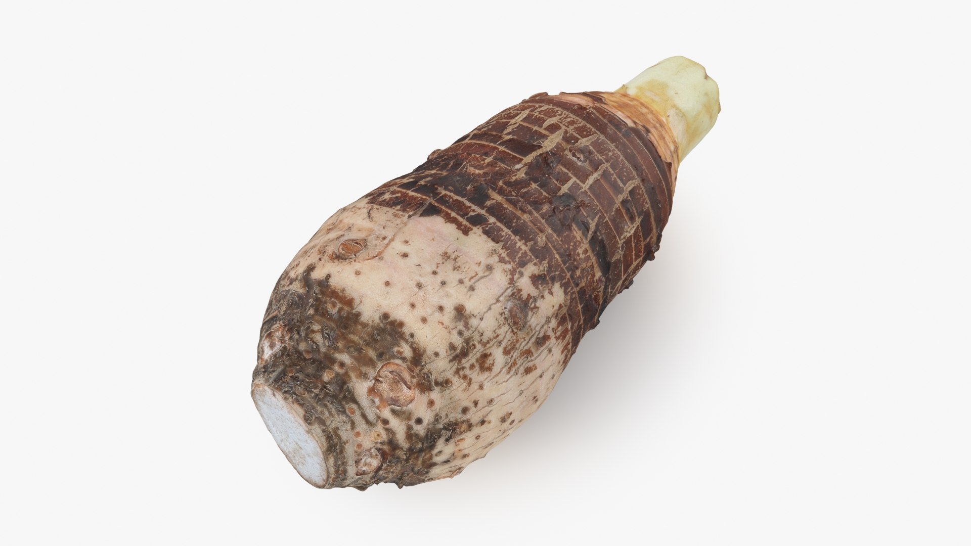 3D Taro Collection - TurboSquid 2209199