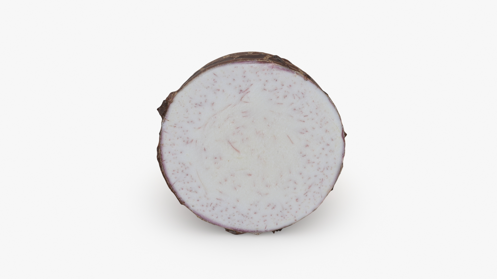 3D Taro Collection - TurboSquid 2209199