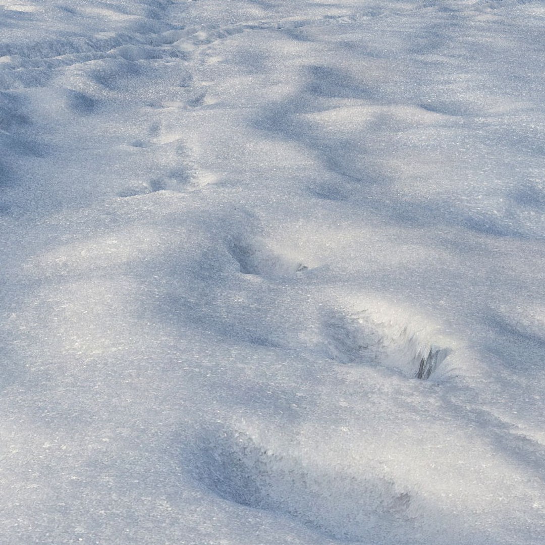Ground Snow 3d Model