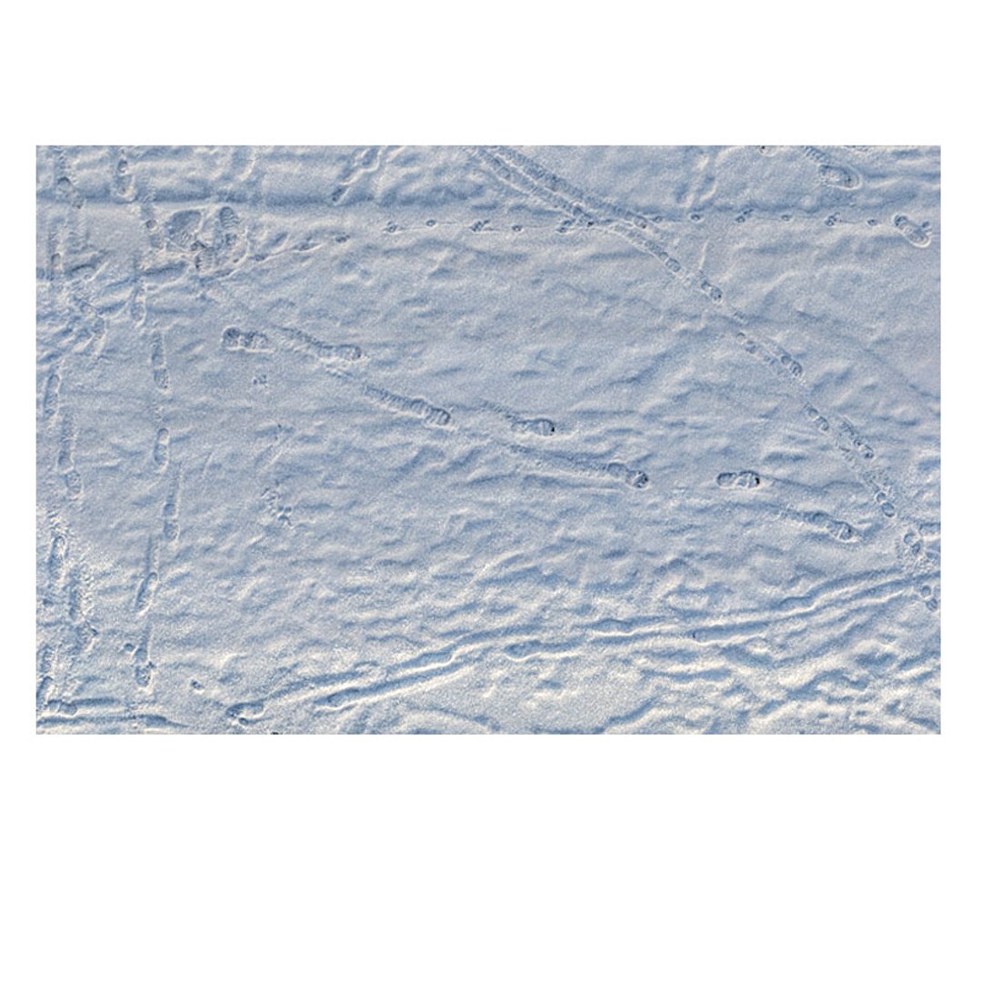 Ground Snow 3d Model