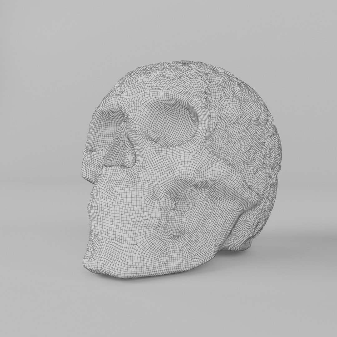 3d Model Art Skull