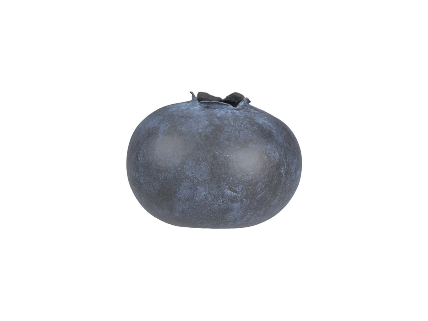 Photorealistic Scanned Blueberry 3D - TurboSquid 1440751