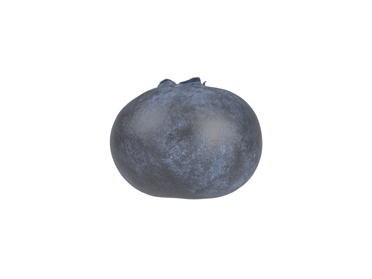 Photorealistic Scanned Blueberry 3D - TurboSquid 1440751