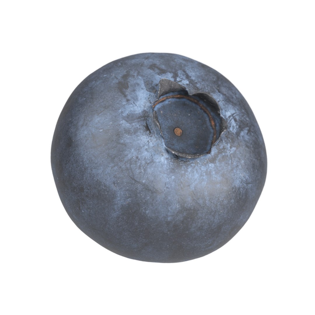 Photorealistic Scanned Blueberry 3D - TurboSquid 1440751