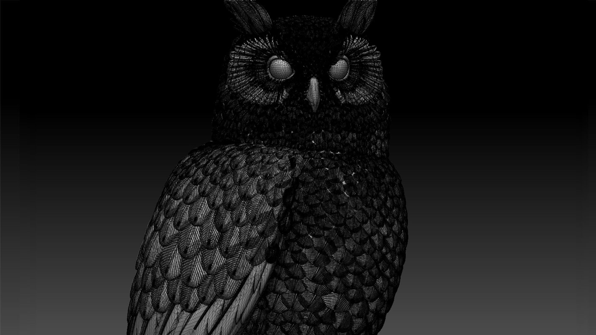 Owl Bird 3D - TurboSquid 1957597