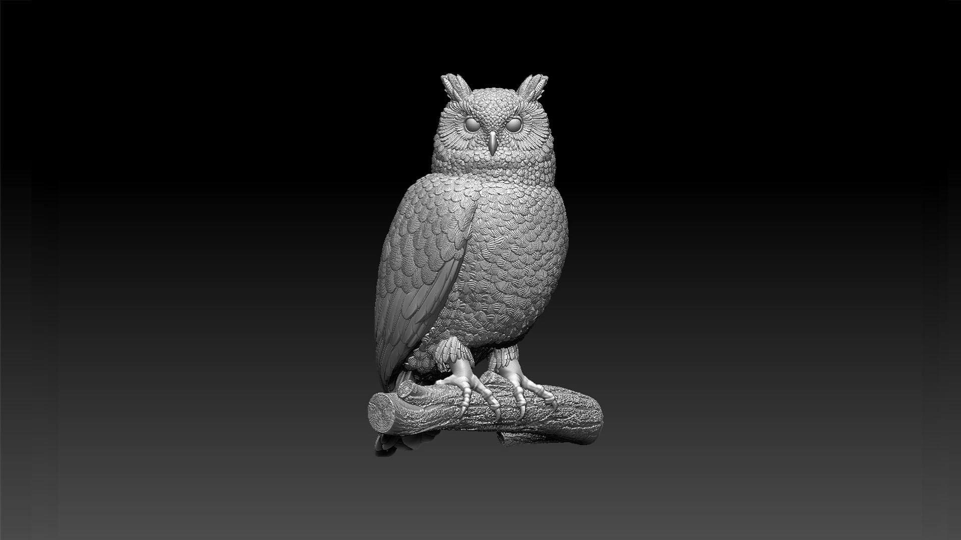 Owl Bird 3D - TurboSquid 1957597