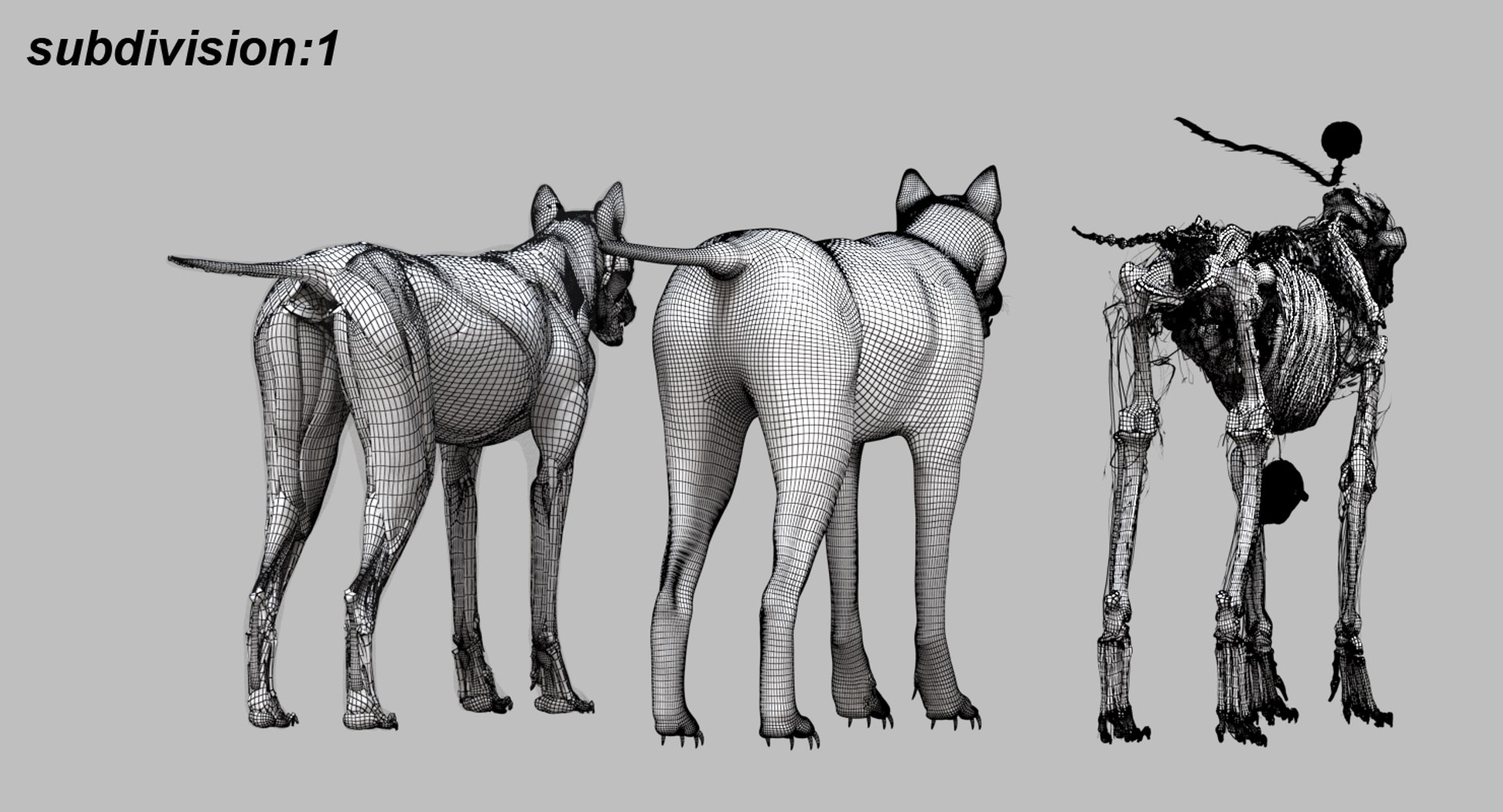 Fur xgen model - TurboSquid 1376100
