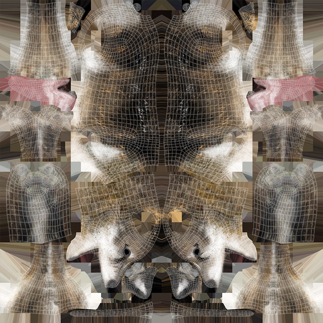 Fur xgen model - TurboSquid 1376100