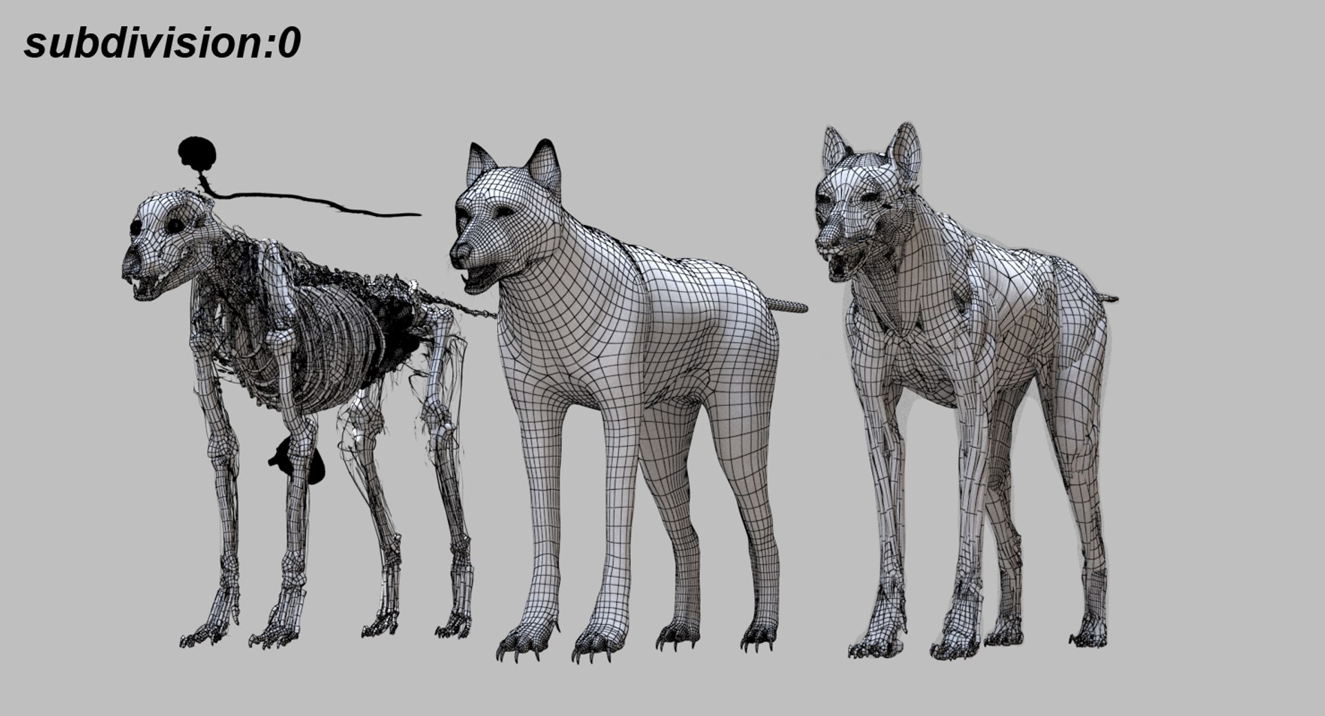 Fur xgen model - TurboSquid 1376100