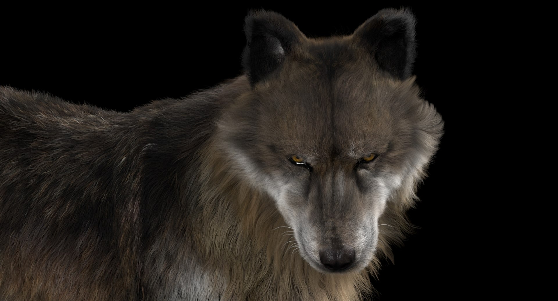 Fur Xgen Model - TurboSquid 1376100