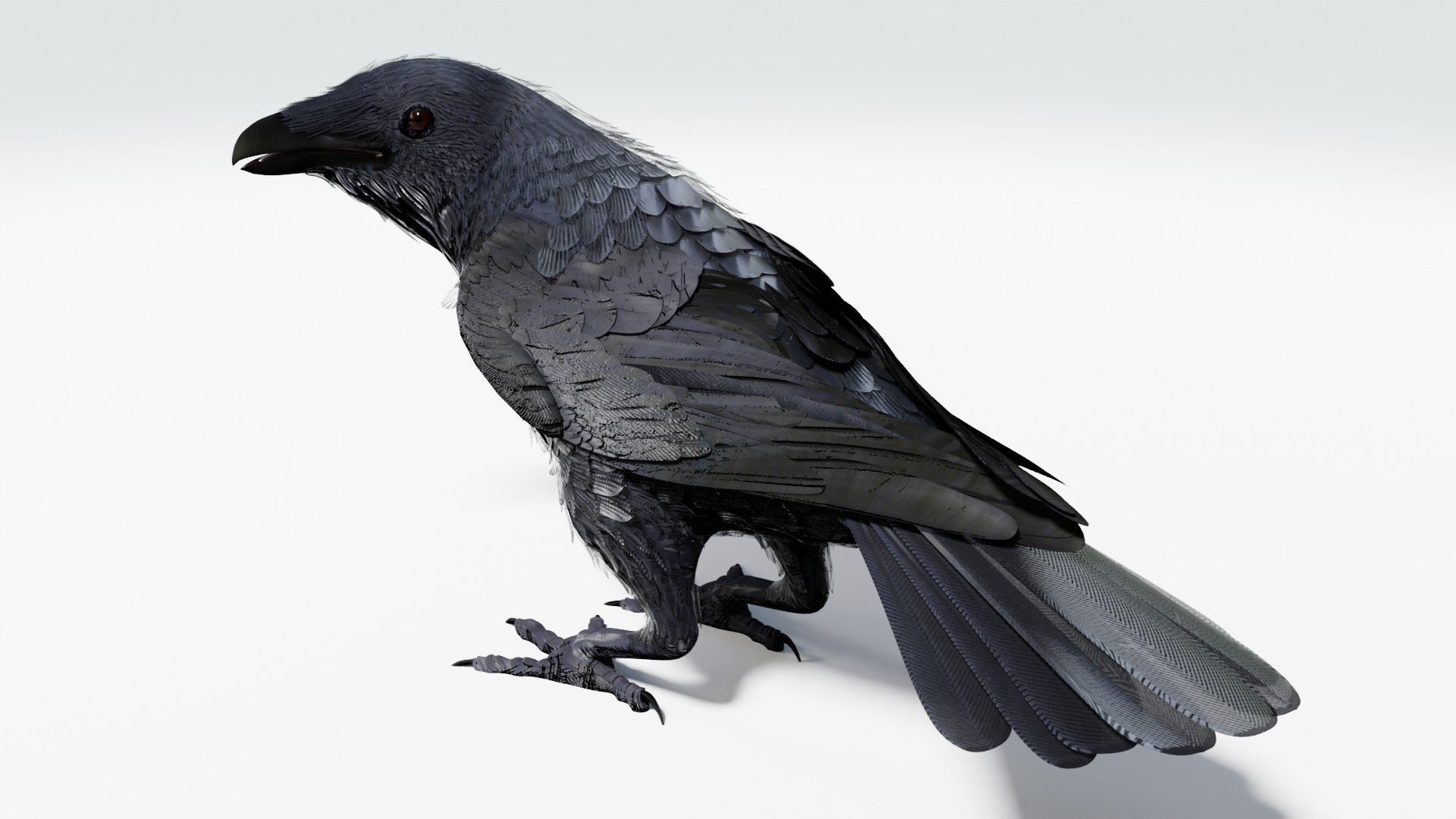 3D CROW - BLENDER Model - TurboSquid 1937131