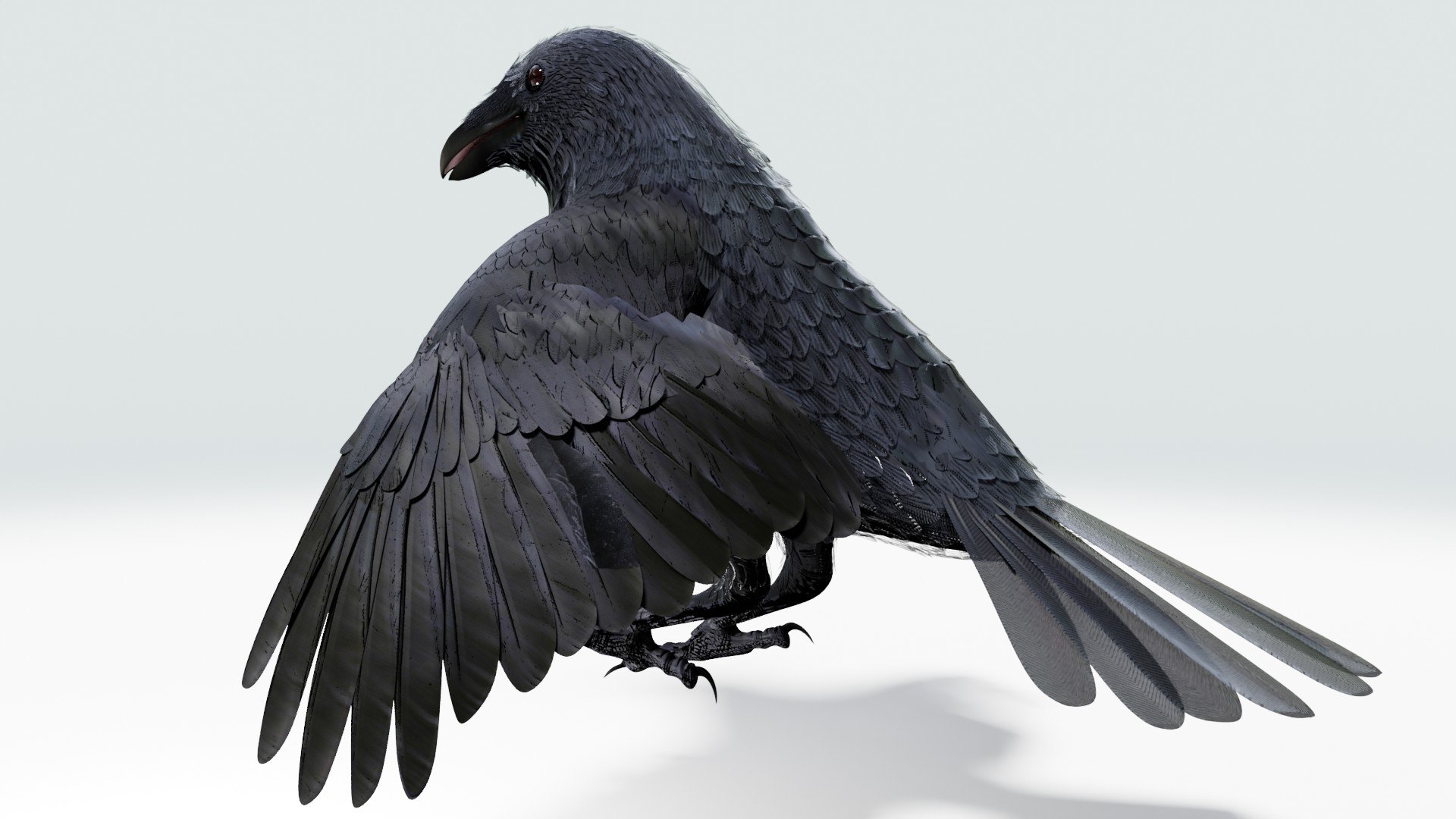 3D CROW - BLENDER Model - TurboSquid 1937131