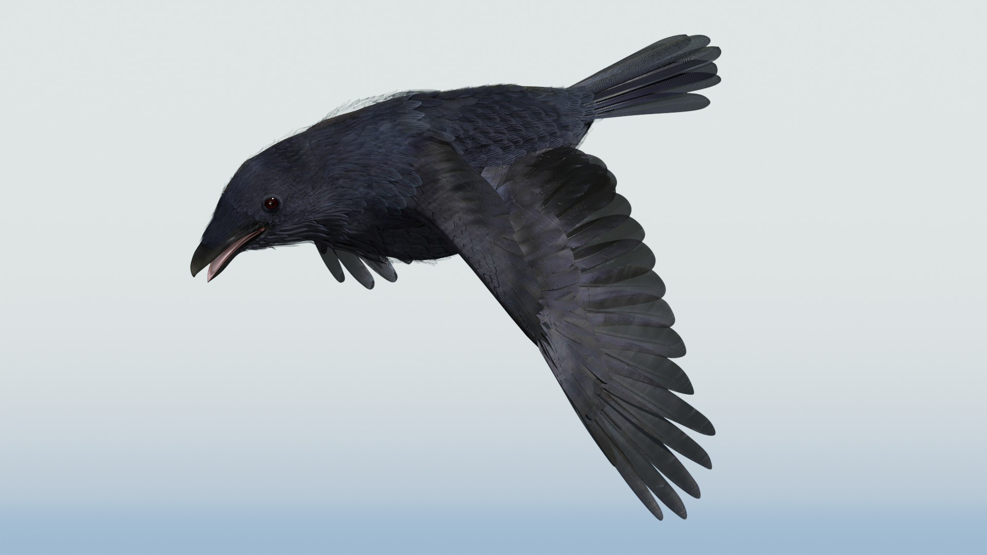 3D CROW - BLENDER Model - TurboSquid 1937131