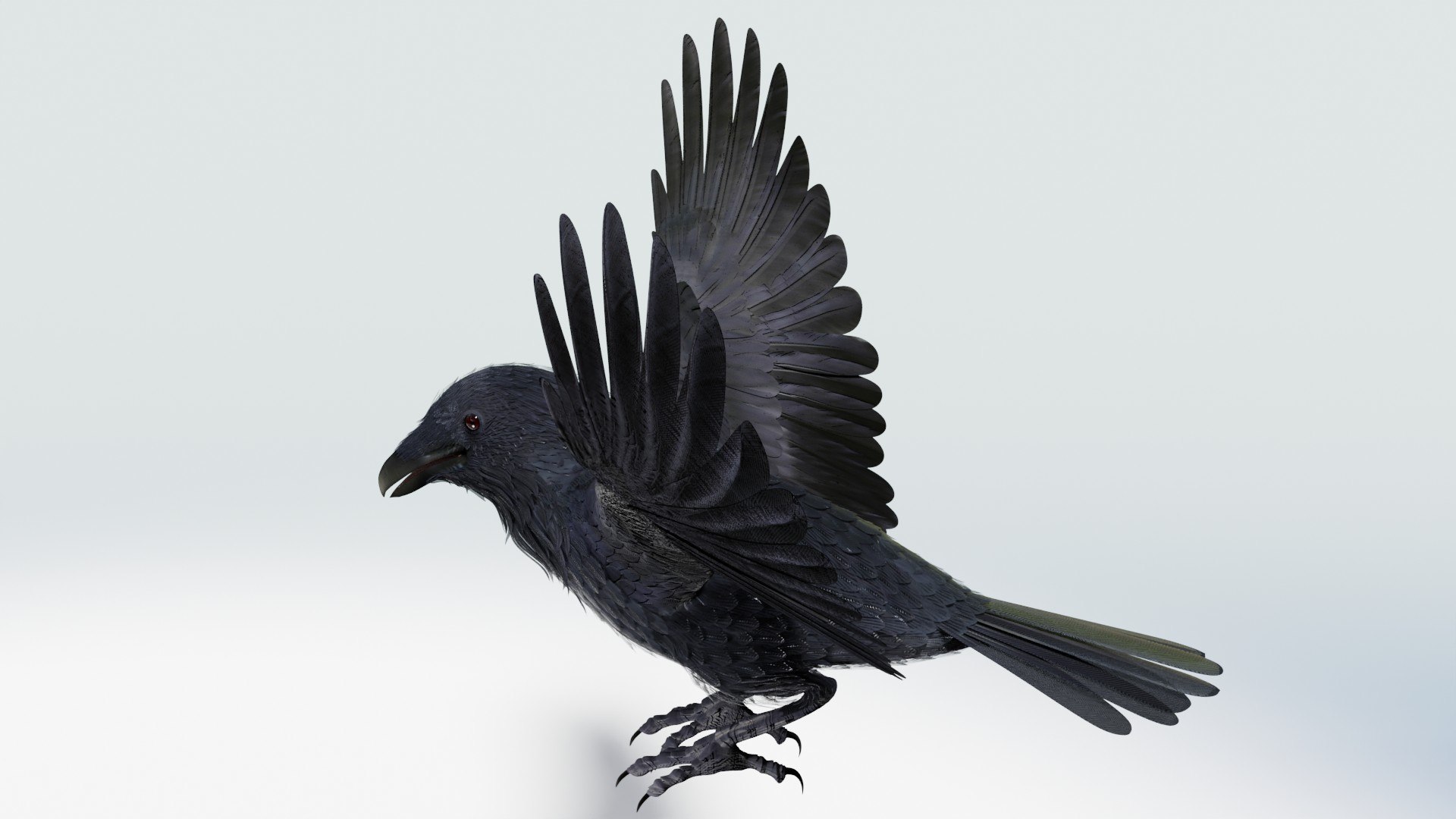 3D CROW - BLENDER Model - TurboSquid 1937131