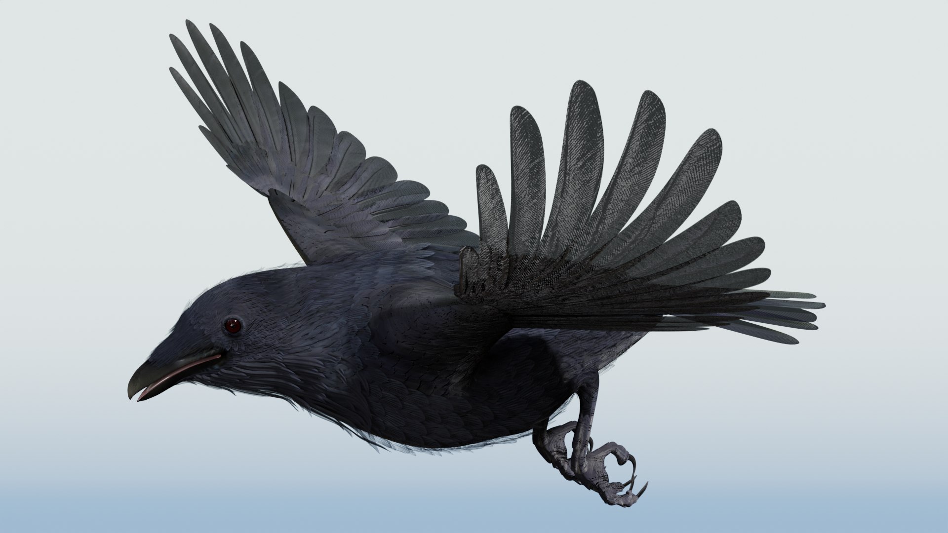 3D CROW - BLENDER Model - TurboSquid 1937131