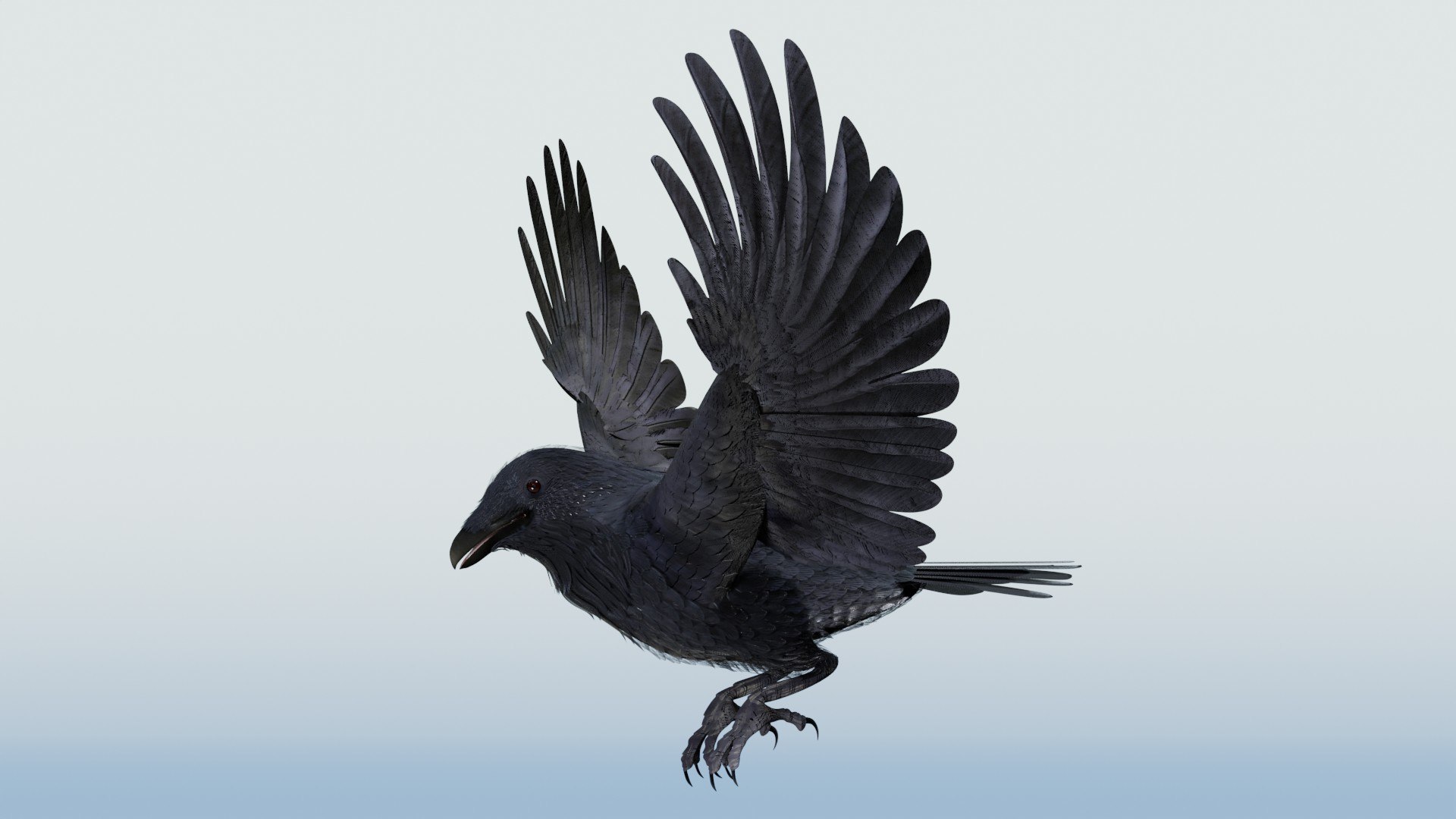 3D CROW - BLENDER Model - TurboSquid 1937131