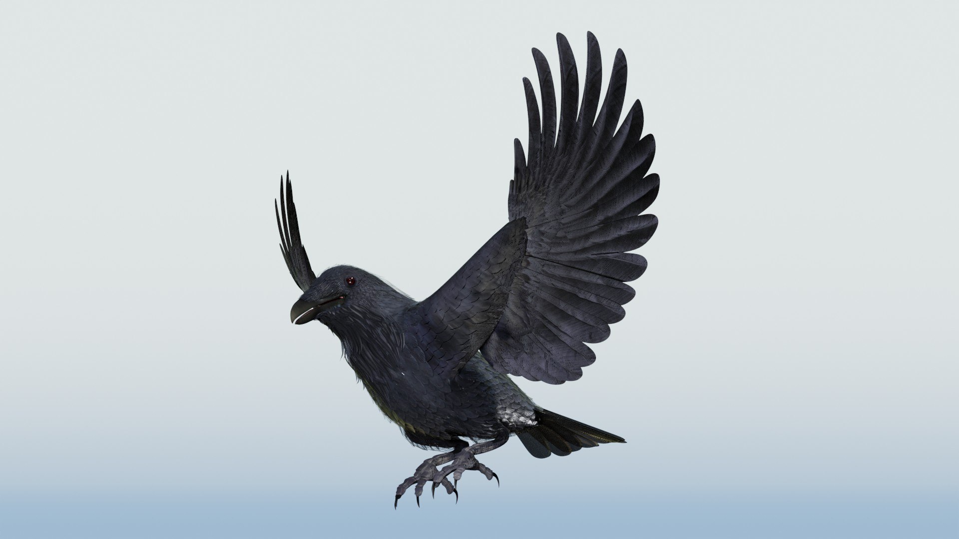 3D CROW - BLENDER Model - TurboSquid 1937131